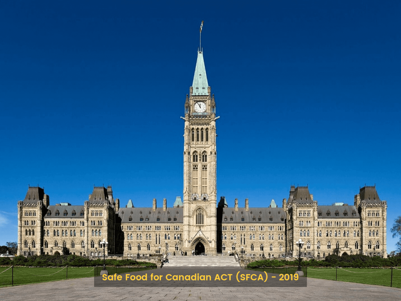 SAFE FOOD FOR CANADIANS ACT/ REGULATIONS & THE ROLE OF CFIA – Food Vision