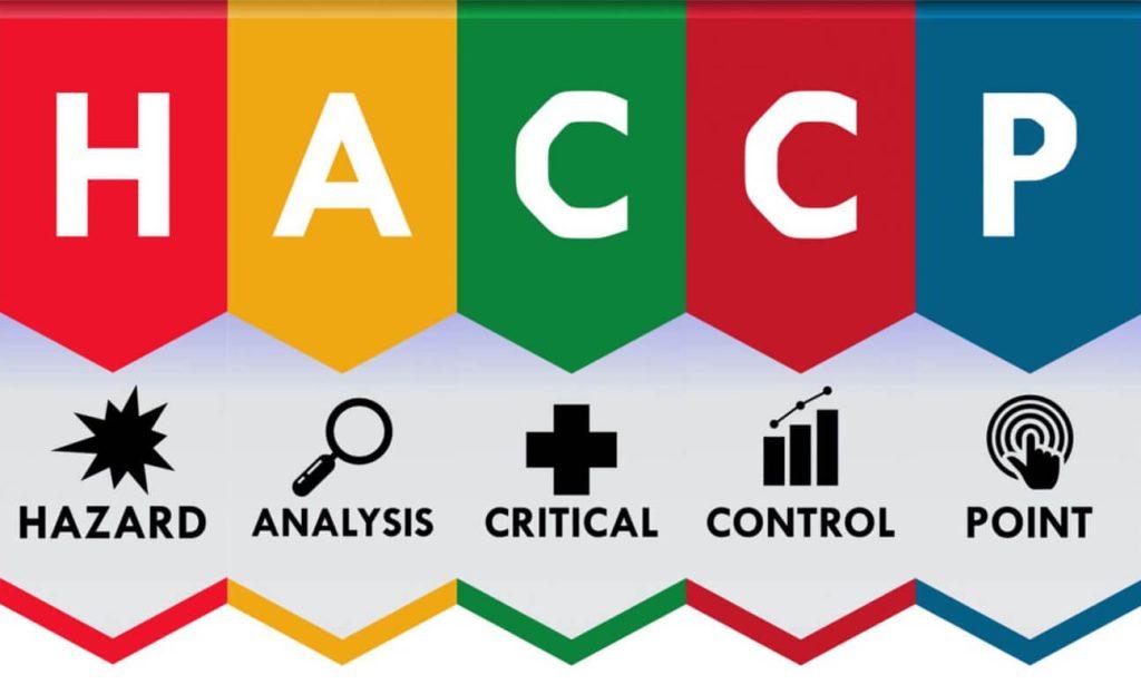 FOOD SAFETY/ GMP/ HACCP – Food Vision